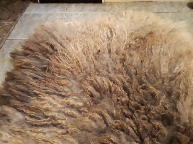 Introducing the Timeless Beauty of Wet Felted Shetland Rug Embrace ...