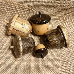 Wooden Acorns - Maple, Hackberry, Bradford Pear, Set of 5, Fall Decor ...