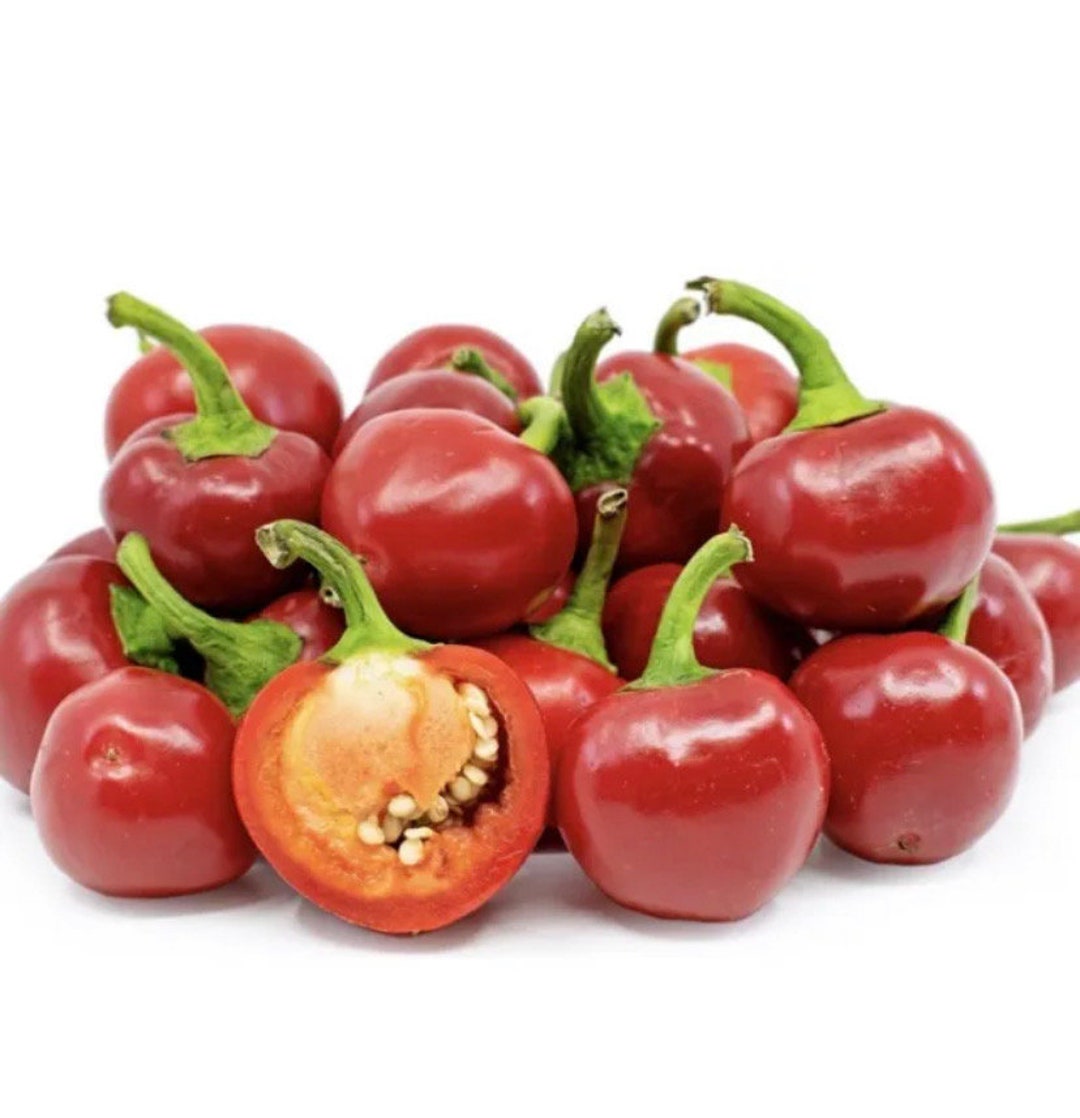 Piccante Calabrese Cherry Pepper Seeds Heirloom NJ USA See My Store for ...