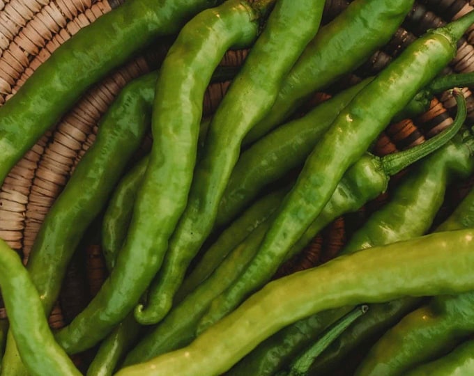 Fushimi Japanese Sweet Pepper Seeds USA NJ Grower Heirloom Organic NJ ...