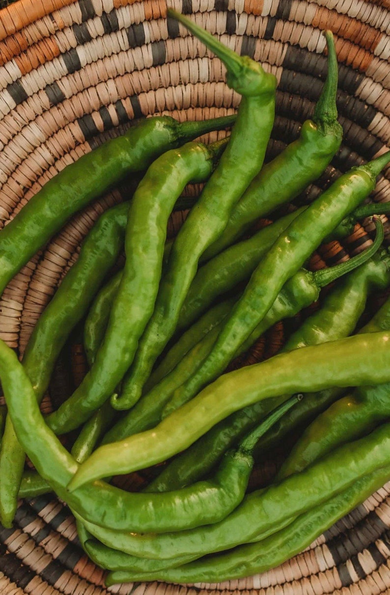 Fushimi Japanese Sweet Pepper Seeds USA NJ Grower Heirloom Organic NJ ...