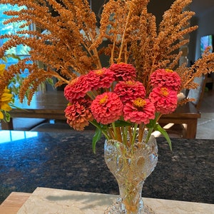 Zinnia Button Box Mix Zinnia Flower Seeds Heirloom USA NJ Grower See My ...