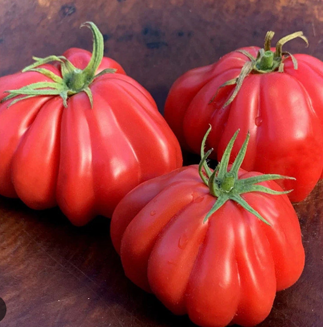 Sharpei Ribbed Tomato Seeds USA NJ Grower Heirloom Organic Check My ...