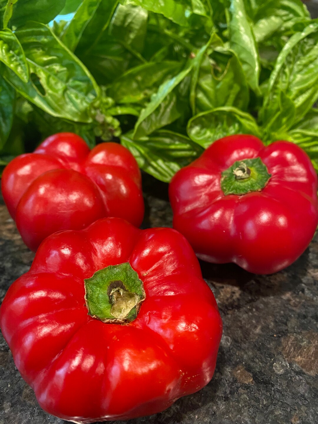 Cheese Pepper Seeds Heirloom Organic NJ Seller Free Shipping Organic - Etsy