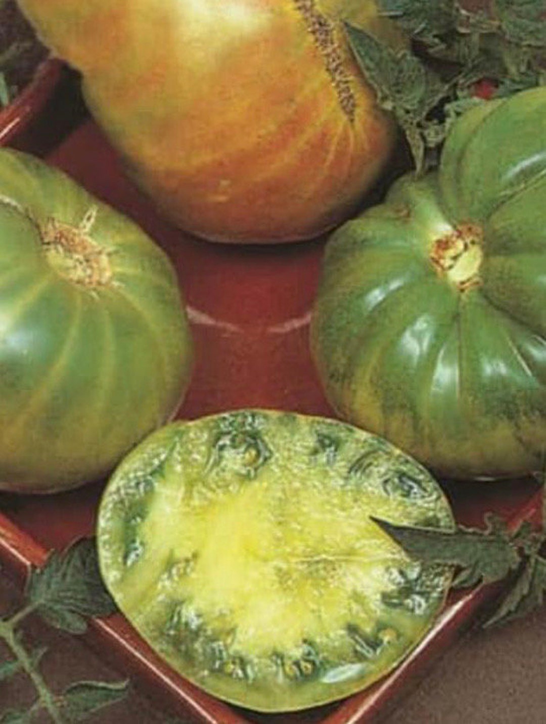 Aunt Ruby German Tomato Free Shipping Seeds NJ Grower Heirloom Organic ...
