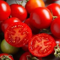 Notorious Tomato Seeds From Bill Yoder Duran Duran Line Florida Heat ...