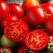 Notorious Tomato Seeds From Bill Yoder Duran Duran Line Florida Heat ...