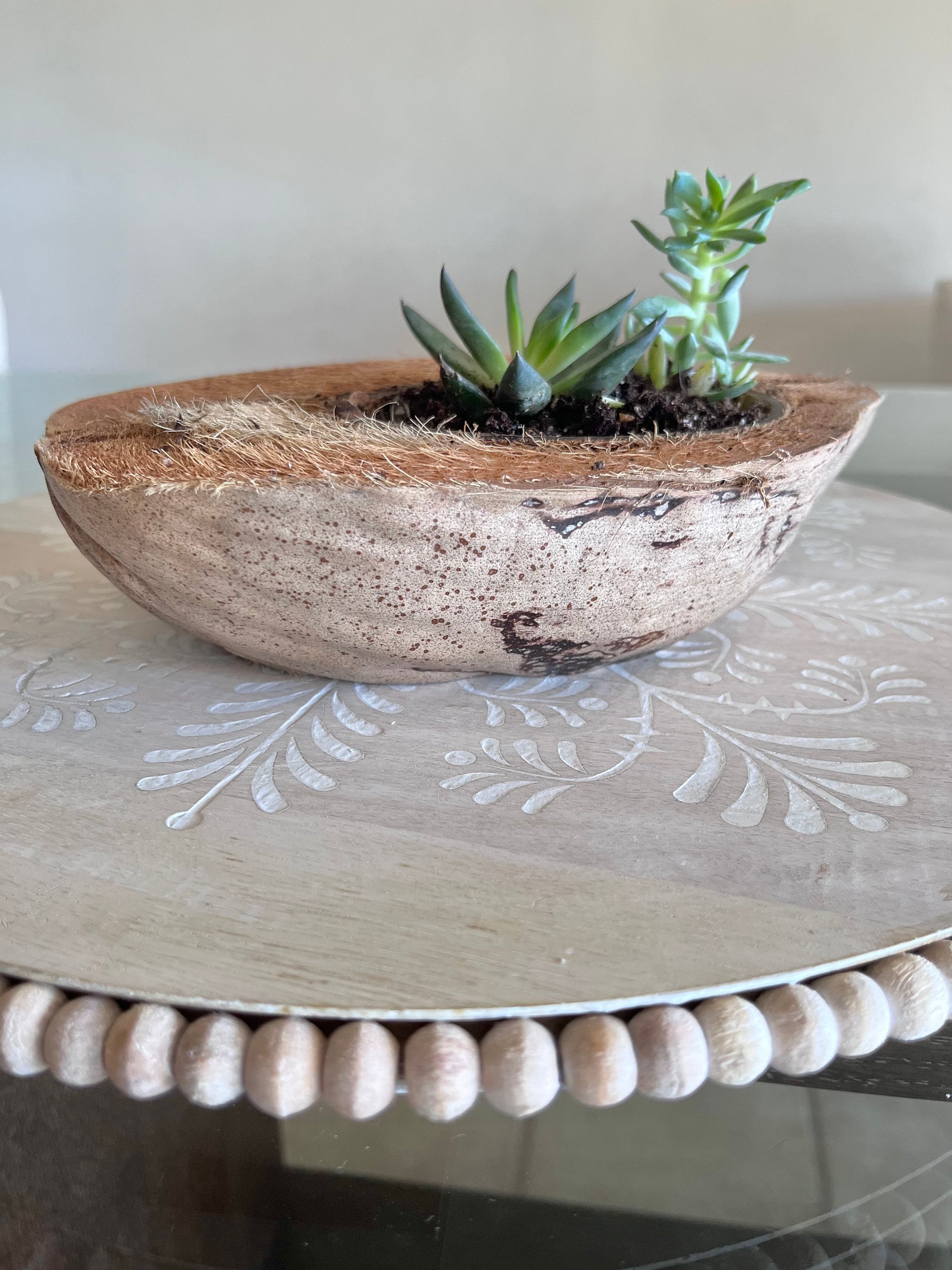 Real Coconut Shell or Coconut Bowl Only | Boho Home Decor Party Gift ...