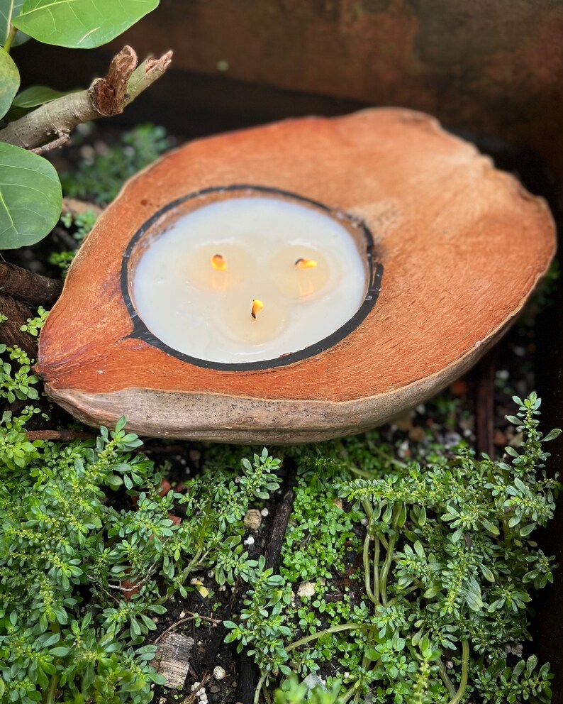 Real Coconut Shell or Coconut Bowl Only | Boho Home Decor Party Gift ...