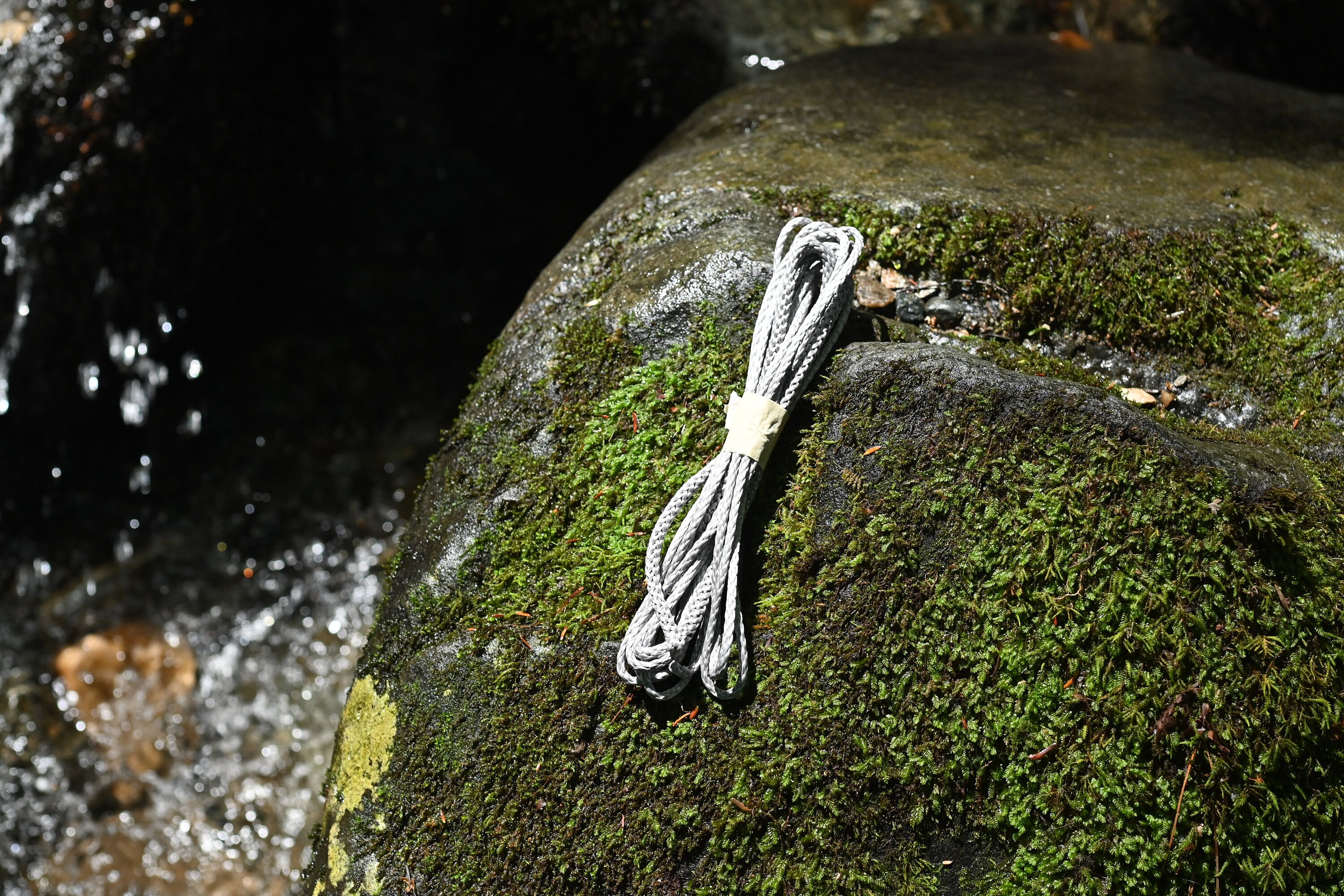 Utility Constrictor Rope/adjustable Ridgeline 7/64 Amsteel single Free ...