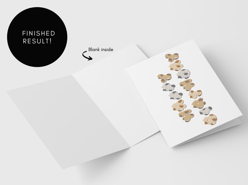 Cat Alphabet Birthday Card Printable Instant Download - Etsy