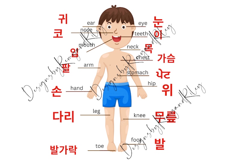 Printable Digital Download PEC Communication Board Cards for Nonverbal ...