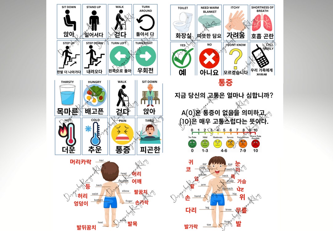 Printable Digital Download PEC Communication Board Cards for Nonverbal ...