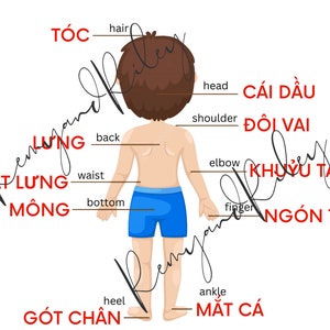 English Vietnamese Communication Board Cards: Visual Aid (digital ...