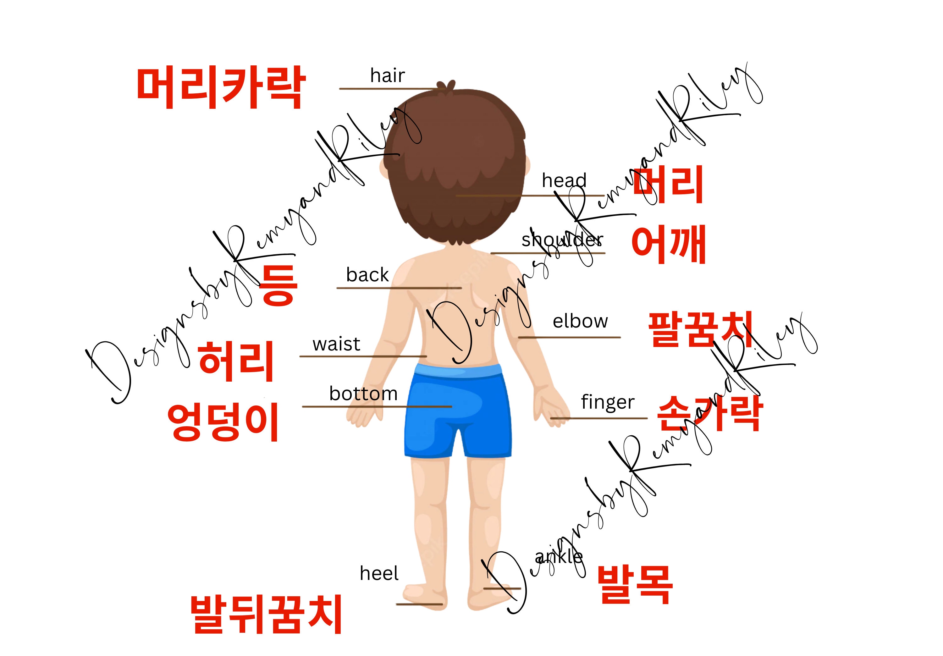 Printable Digital Download PEC Communication Board Cards for Nonverbal ...