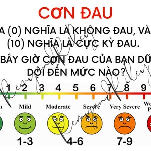 English Vietnamese Communication Board Cards: Visual Aid (digital ...