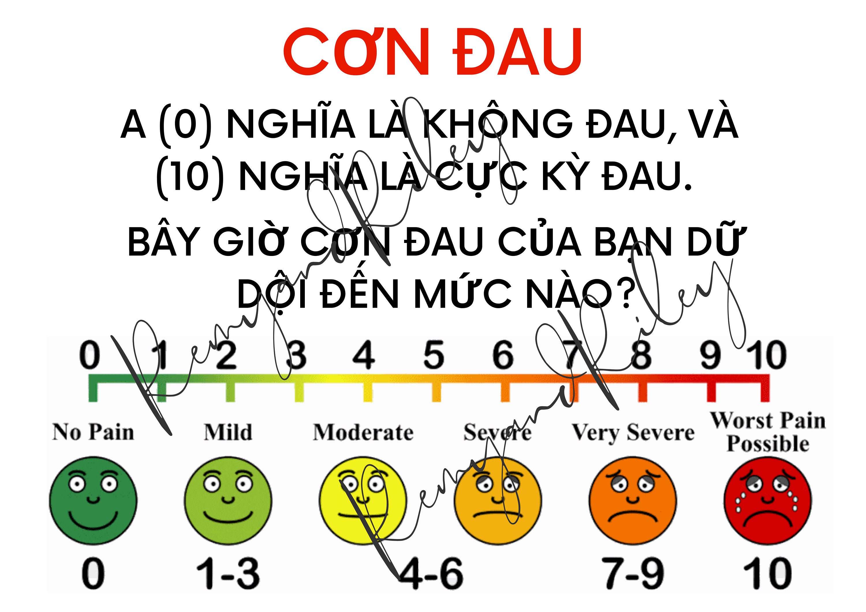English Vietnamese Communication Board Cards: Visual Aid (digital ...