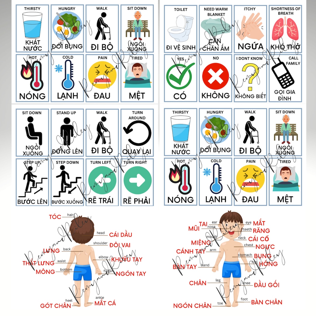 English Vietnamese Communication Board Cards: Visual Aid (digital ...