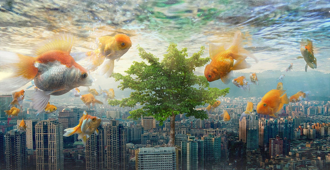 The Fish Tank - Goldfish | Digital Download Art | Printable Digital Art ...