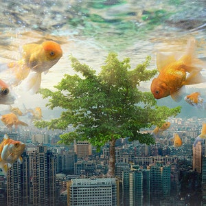 The Fish Tank - Goldfish | Digital Download Art | Printable Digital Art ...