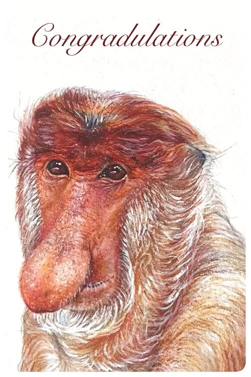 Proboscis Monkey Greeting Card | Etsy