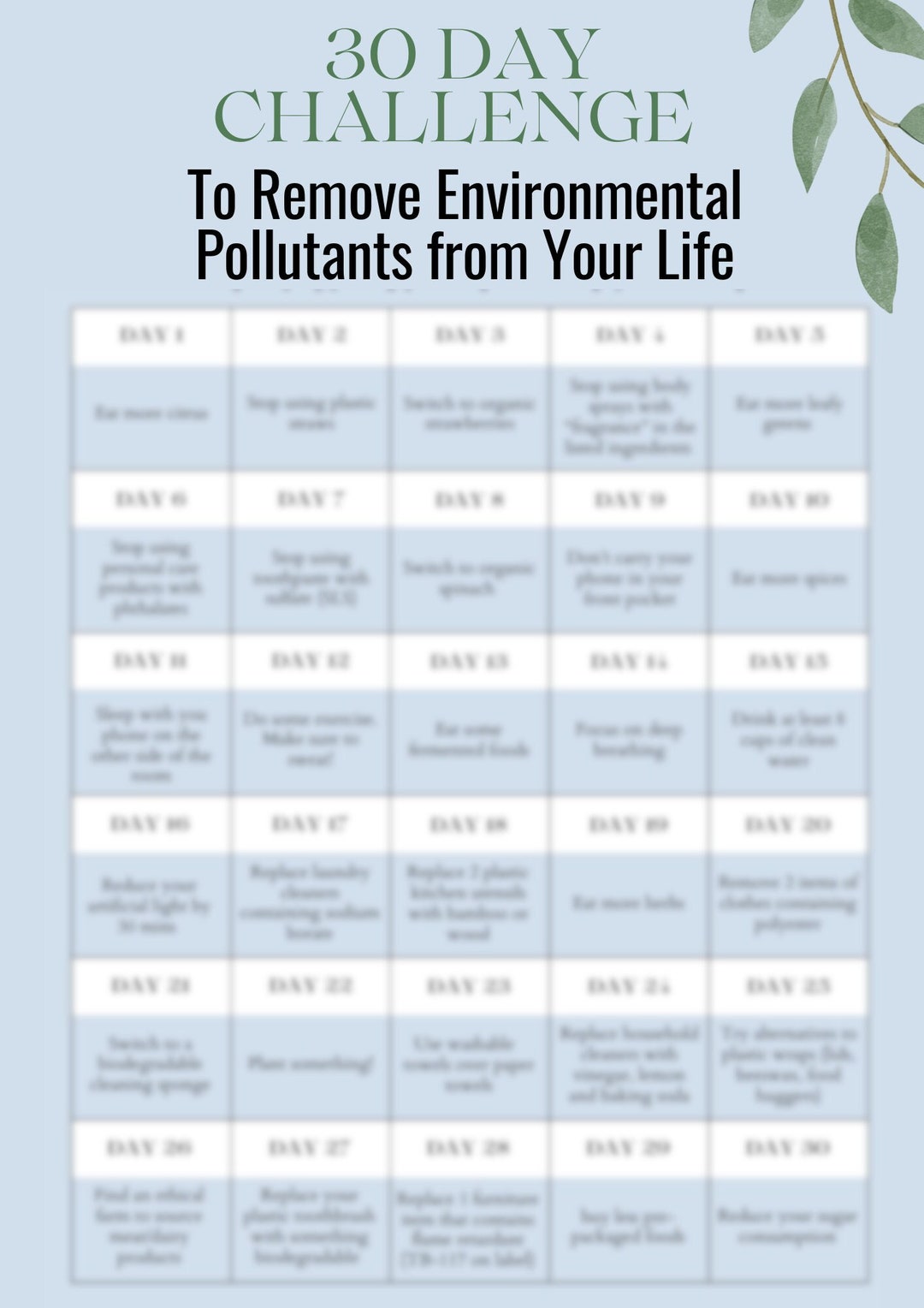 30 Day Environmental Health Challenge to Remove Pollutants From Your ...