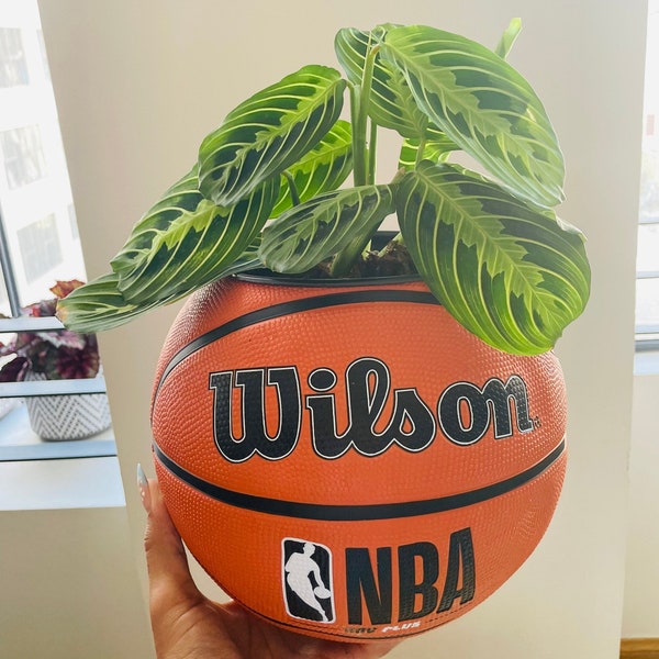 Basketball Planter - Etsy