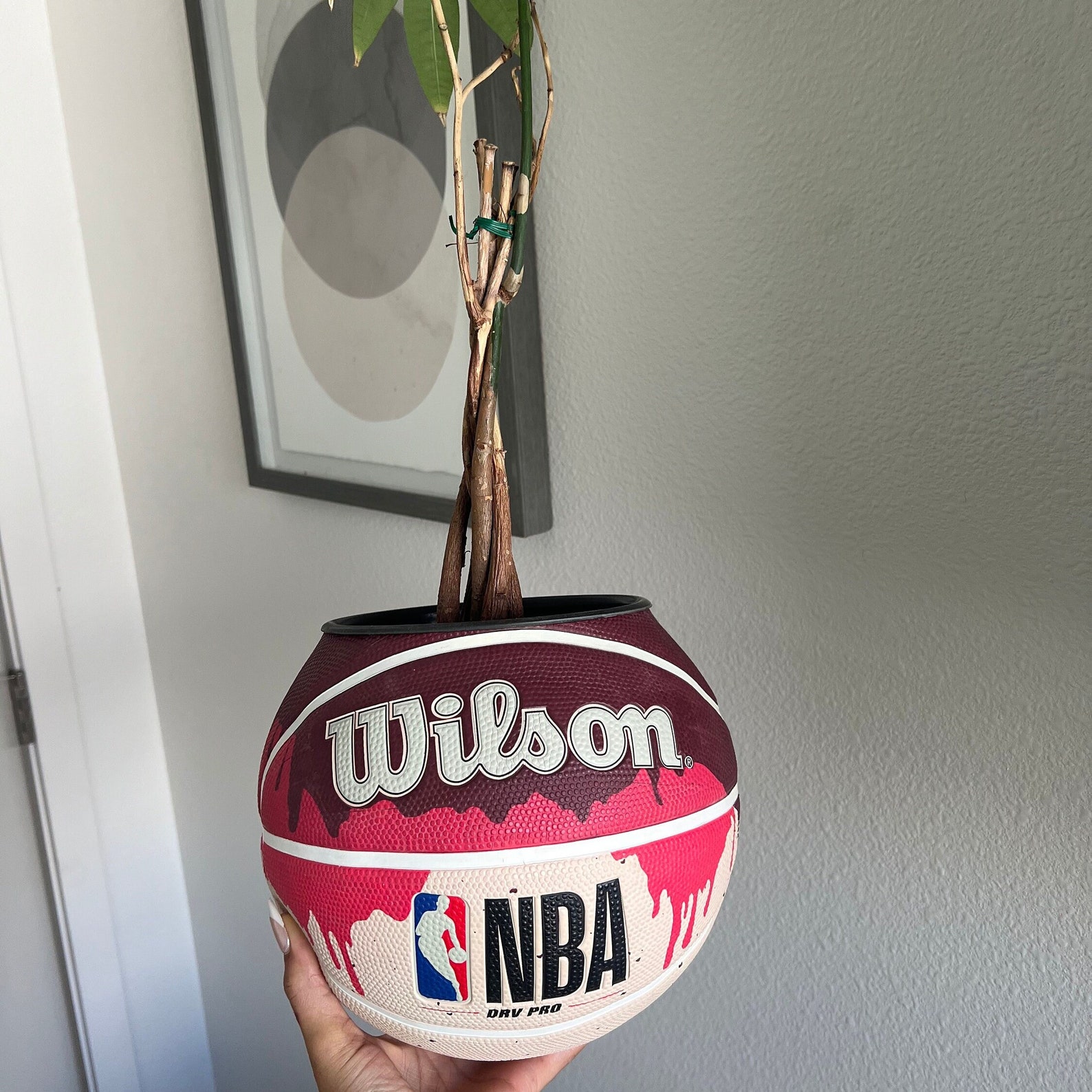 Red Drip Planter Hypebeast Decor Basketball Gift Hype Home Decor ...