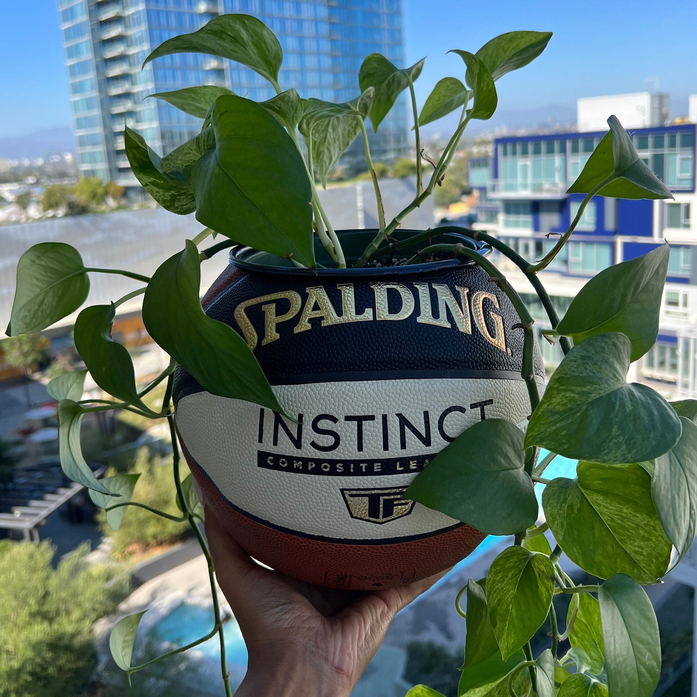 Brown and Tan Basketball Planter Hypebeast Decor Sports Gift Bday Gift ...