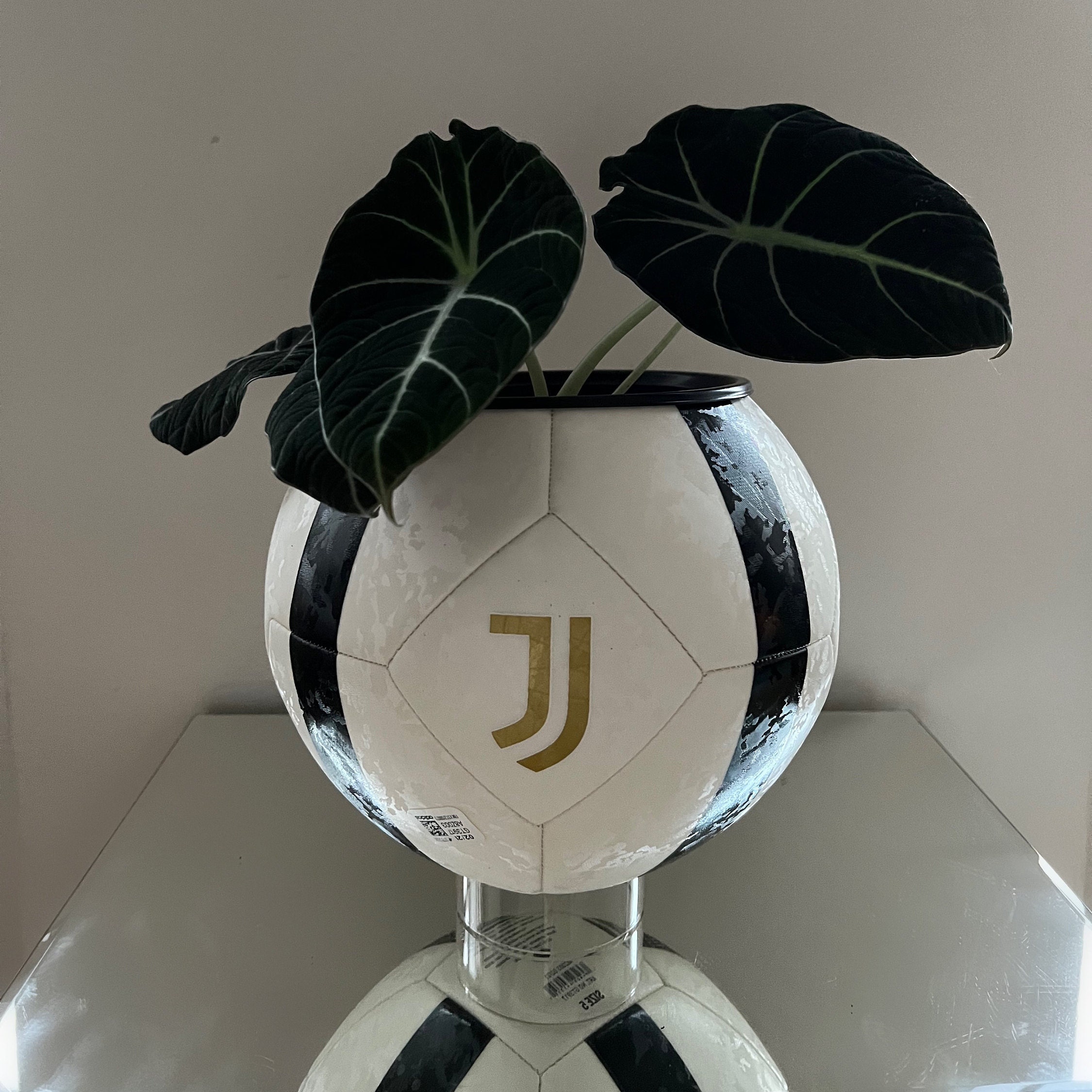 Custom Soccer Ball Planter 6in Planter Plant Pot - Etsy