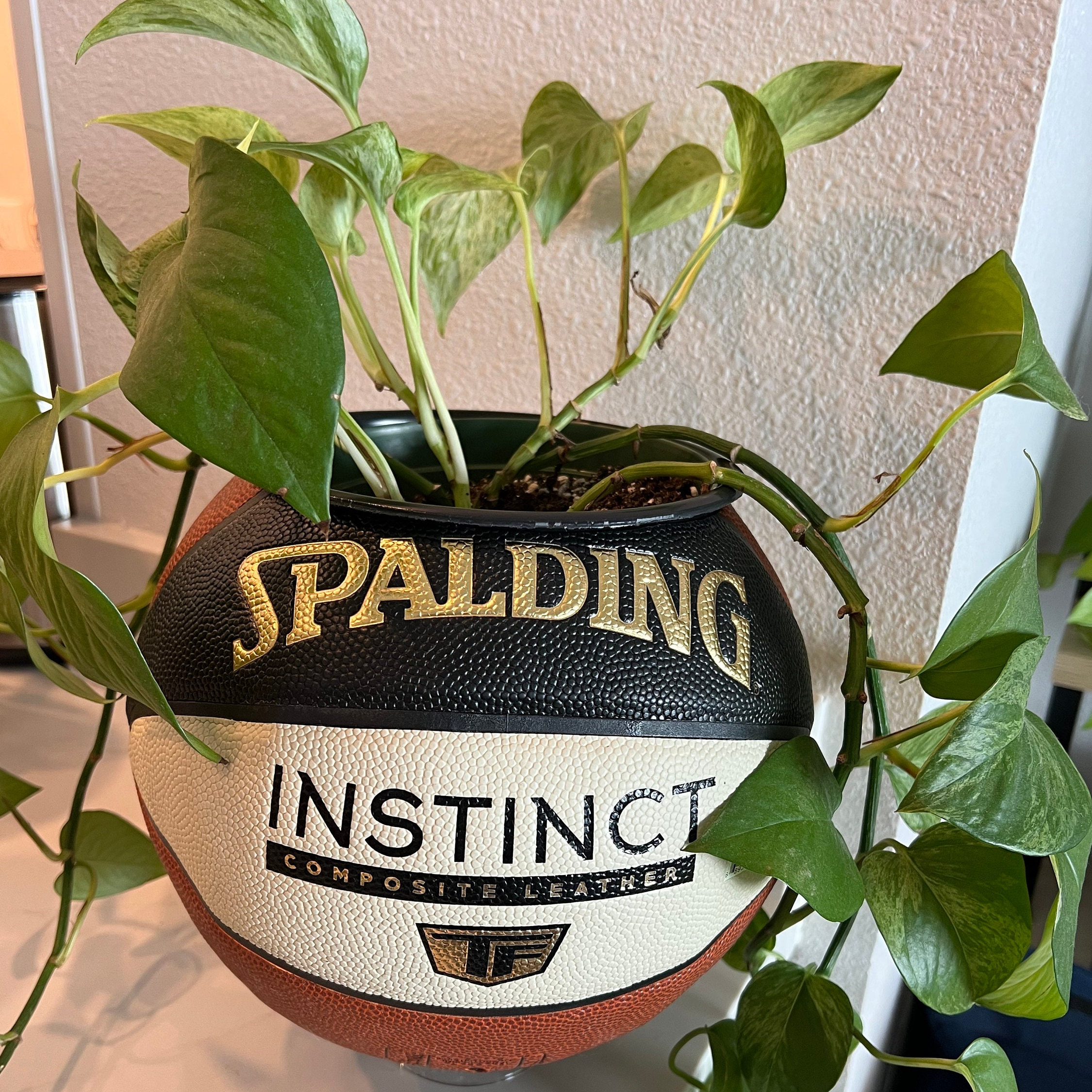 Brown and Tan Basketball Planter Hypebeast Decor Sports Gift Bday Gift ...