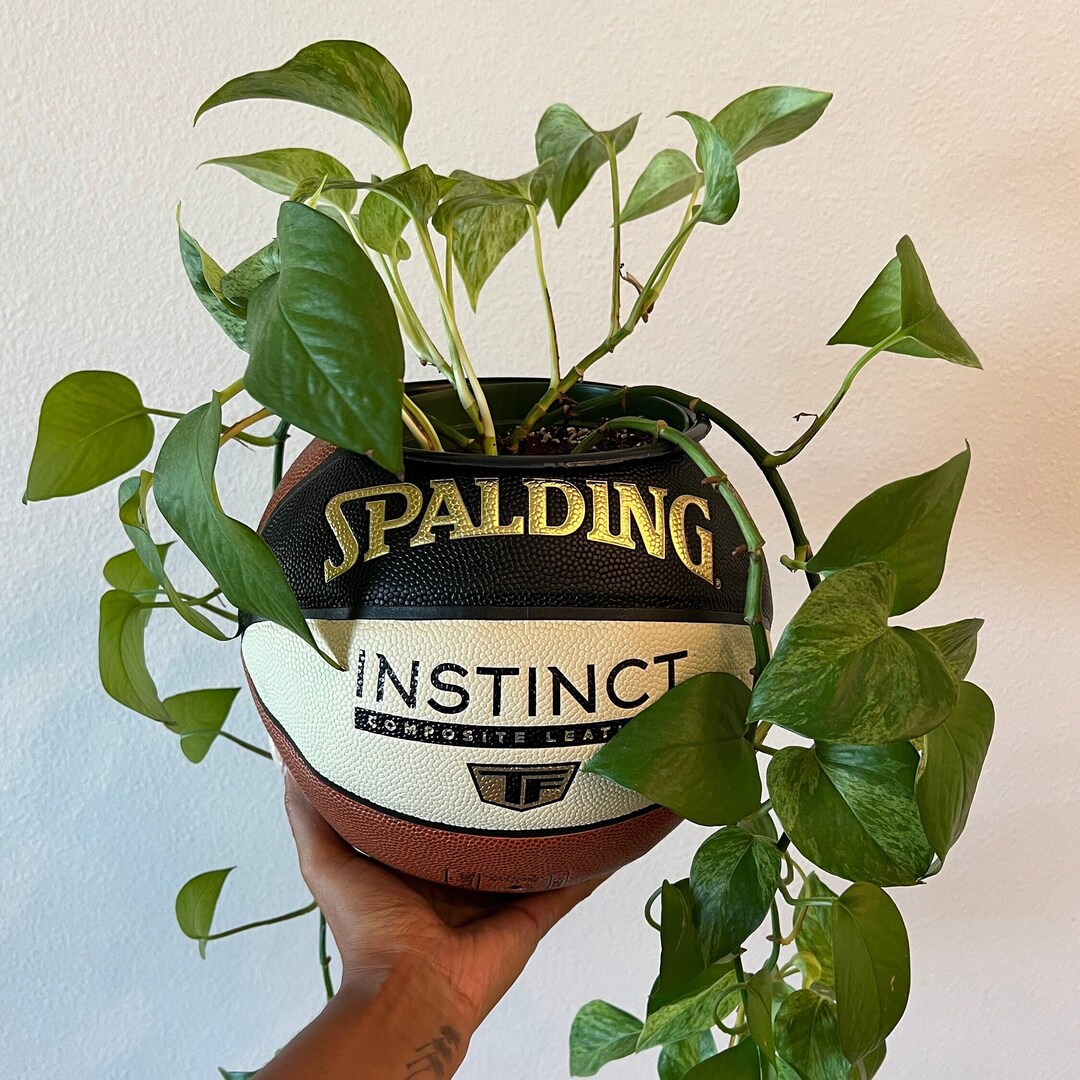 Brown and Tan Basketball Planter | Hypebeast Decor | Sports Gift | Bday ...