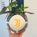 Juventus Soccer Ball Planter 6in Planter Plant Pot Succulent Pot ...
