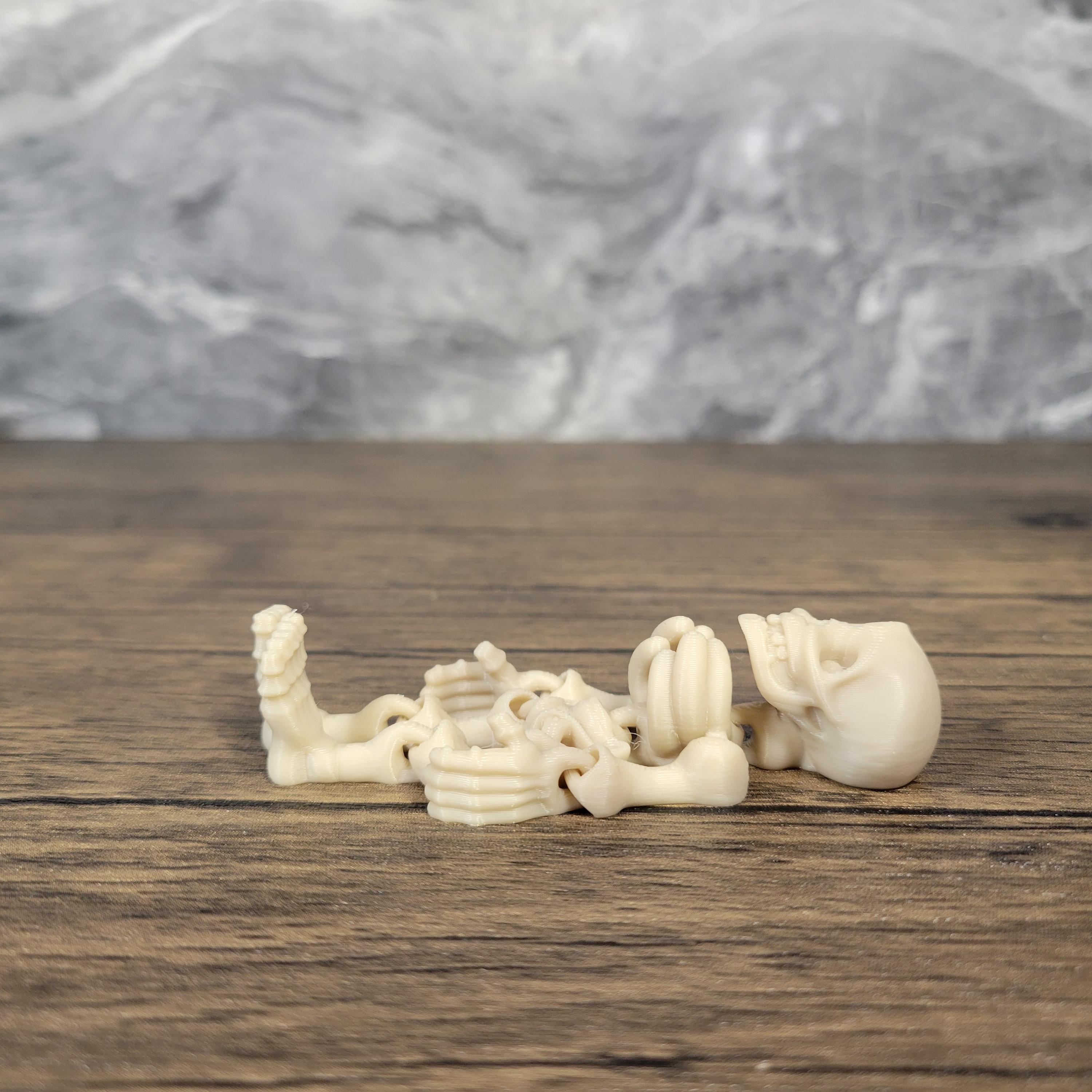 Flexi Tiny Skeleton / Fidget Toy / 3D Printed - Etsy