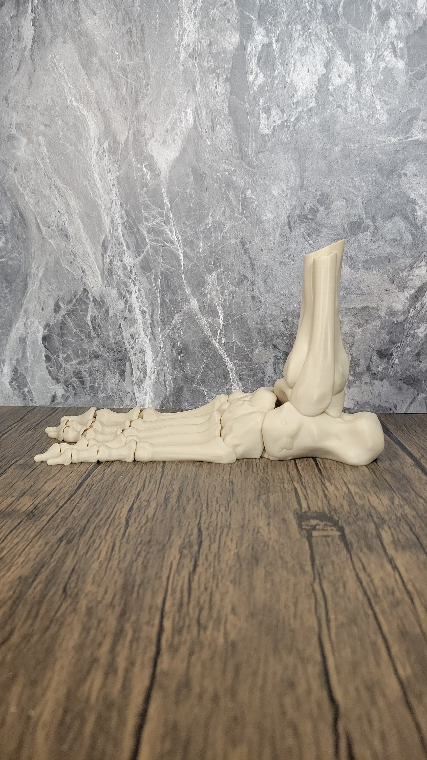 Flexi Skeleton Feet / Fidget Toy / 3D Printed - Etsy