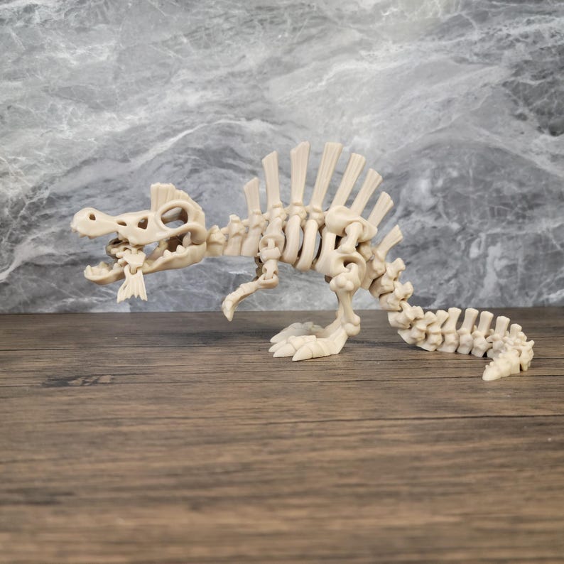 Flexi Skeleton Spinosaurus / Fidget Toy / 3D Printed - Etsy