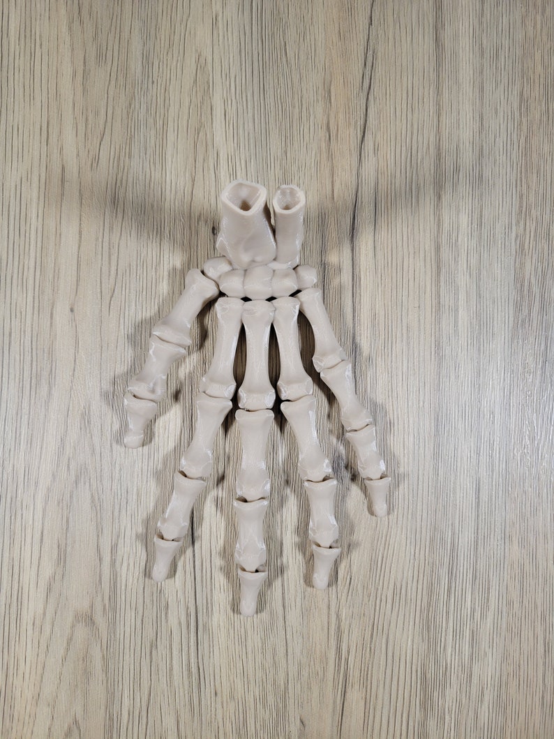Flexi Skeleton Hand / Fidget Toy / 3D Printed - Etsy