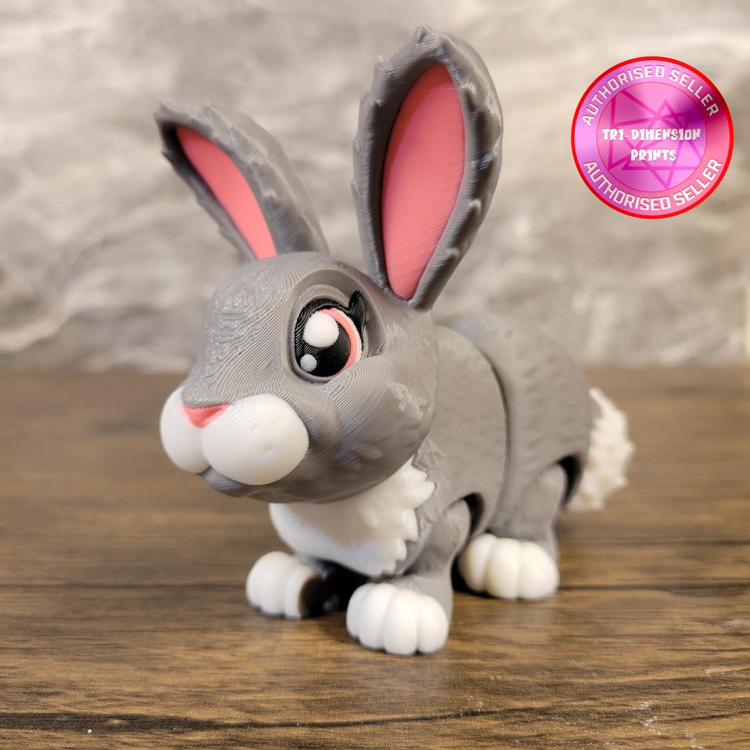 Rabbit / Fidget Toy / 3D Print - Etsy