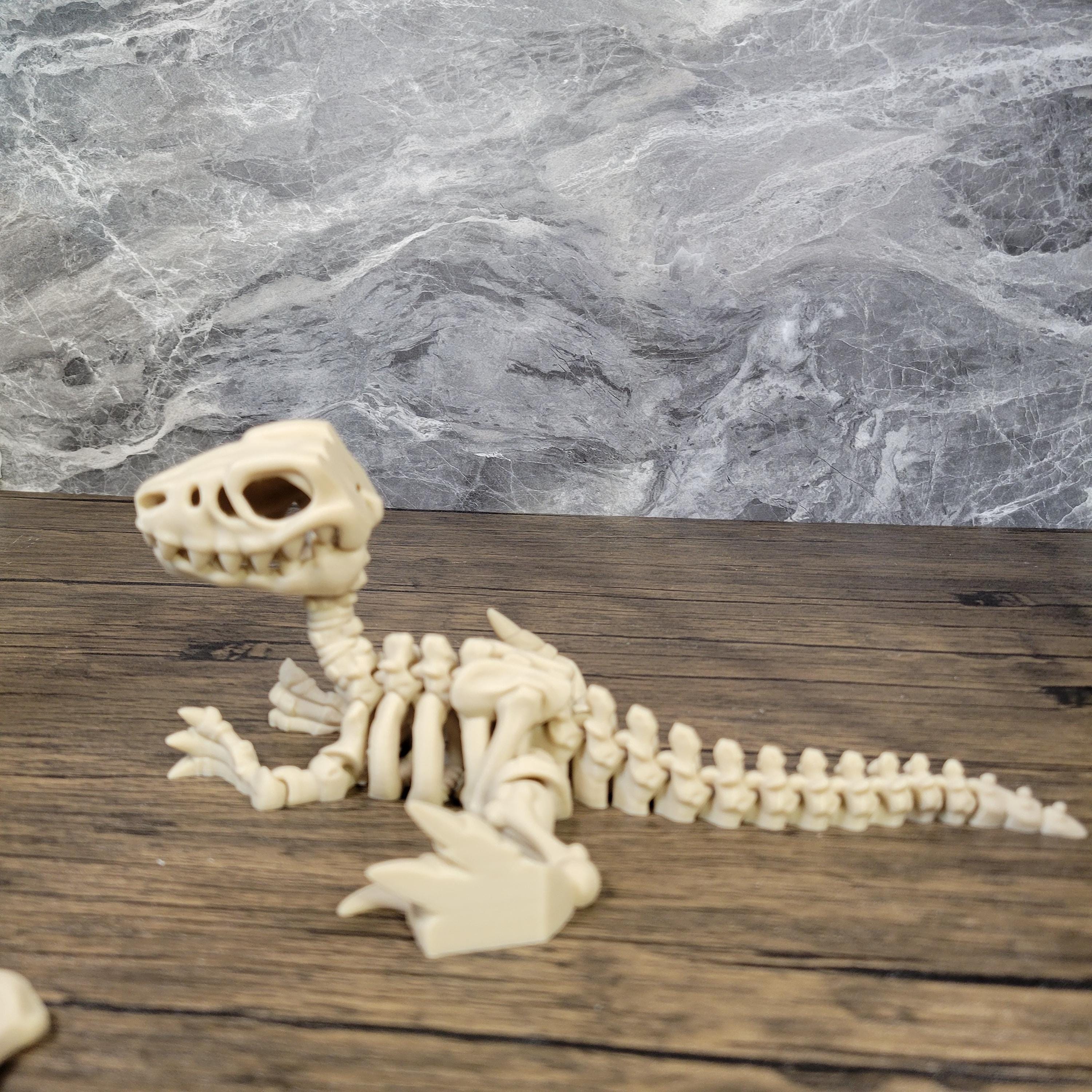 Flexi Skeleton Raptor / Fidget Toy / 3D Printed - Etsy