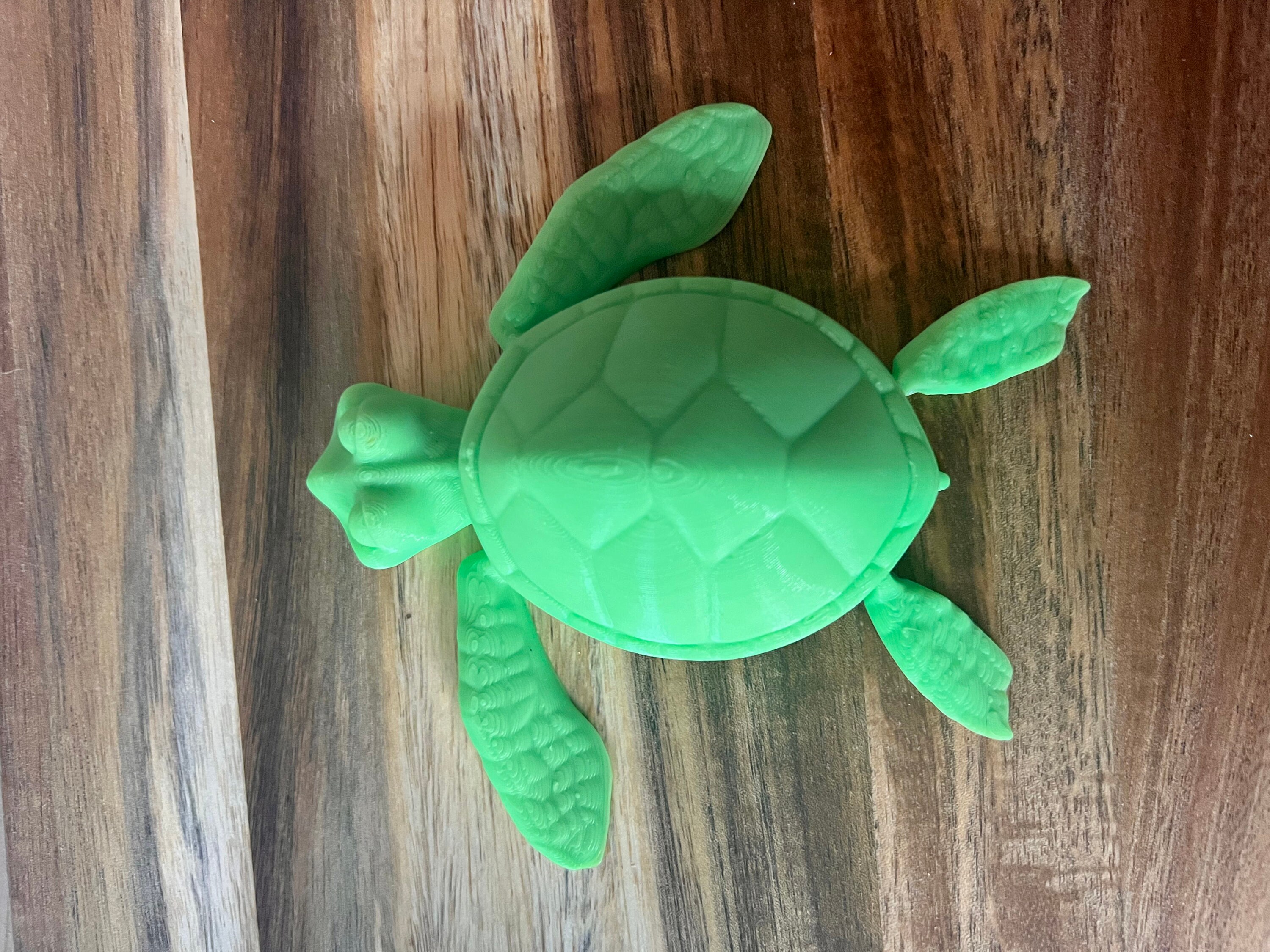 Flexi Turtle / 3D Printed / Fidget Toy - Etsy