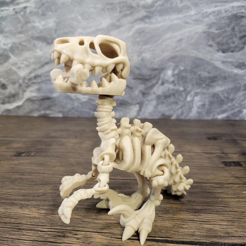Flexi Skeleton Raptor / Fidget Toy / 3D Printed - Etsy