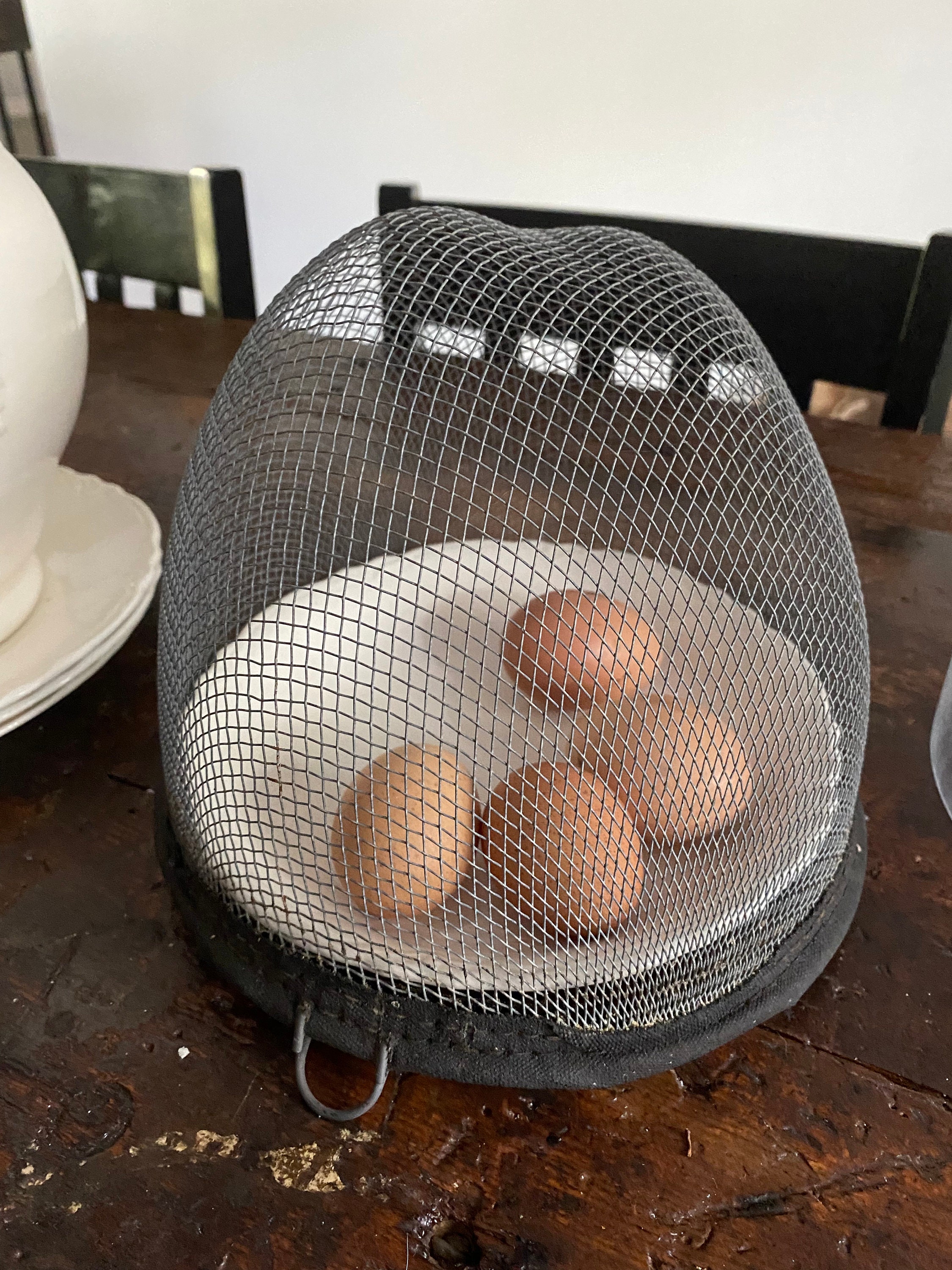 Antique Mesh Wire Cloche Made From Antique Grazing Muzzle - Etsy