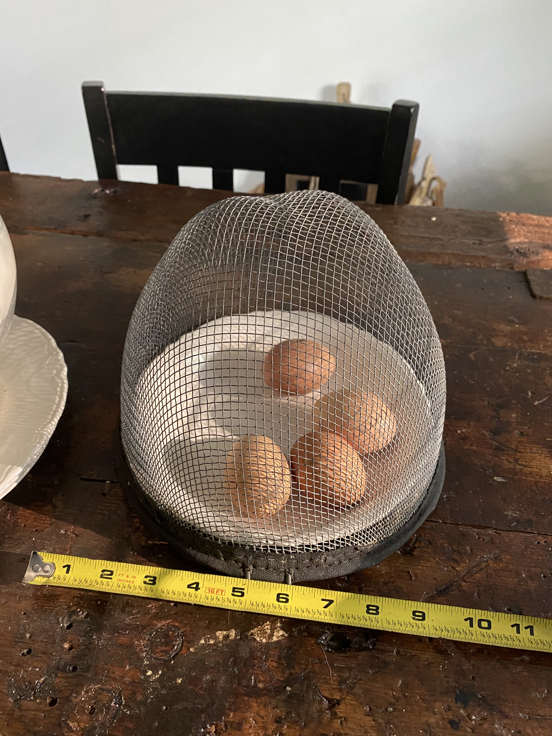 Antique Mesh Wire Cloche Made From Antique Grazing Muzzle - Etsy