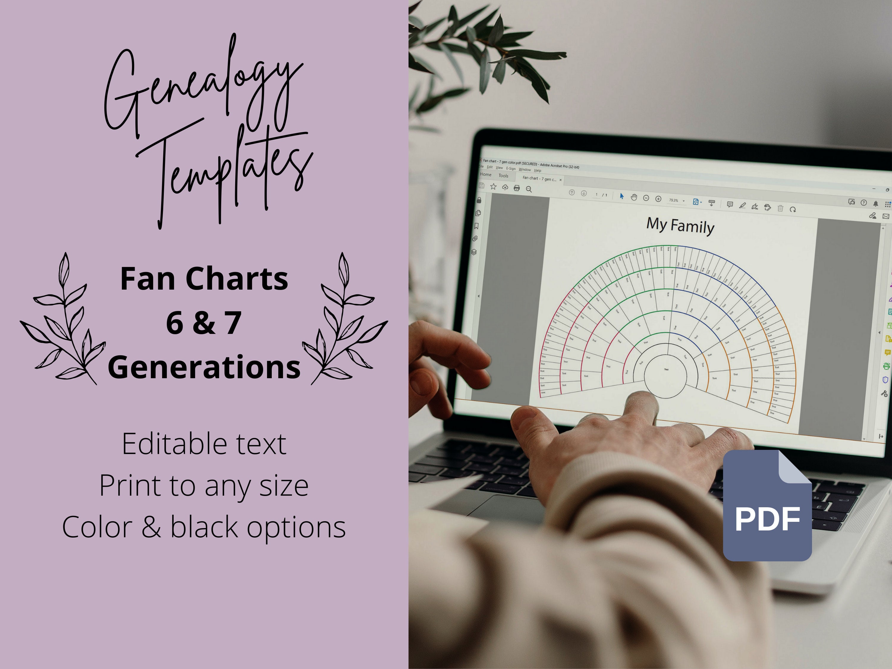 Genealogy Fan Chart Editable Family Tree Templates - PDF | 6 Generation ...