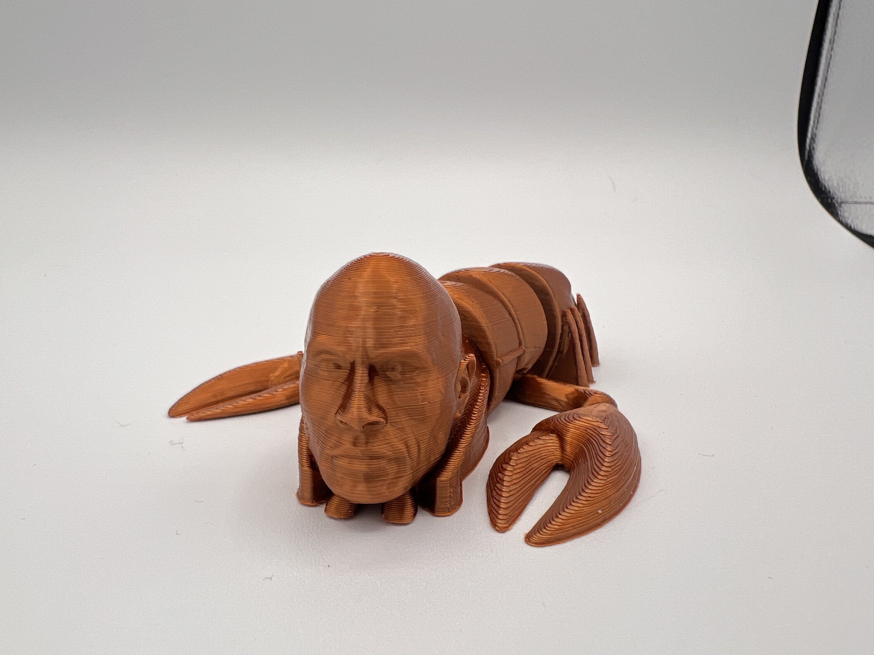 Dwayne Johnson rock Lobster 3d Printed Articulated Toy Gag | Etsy India