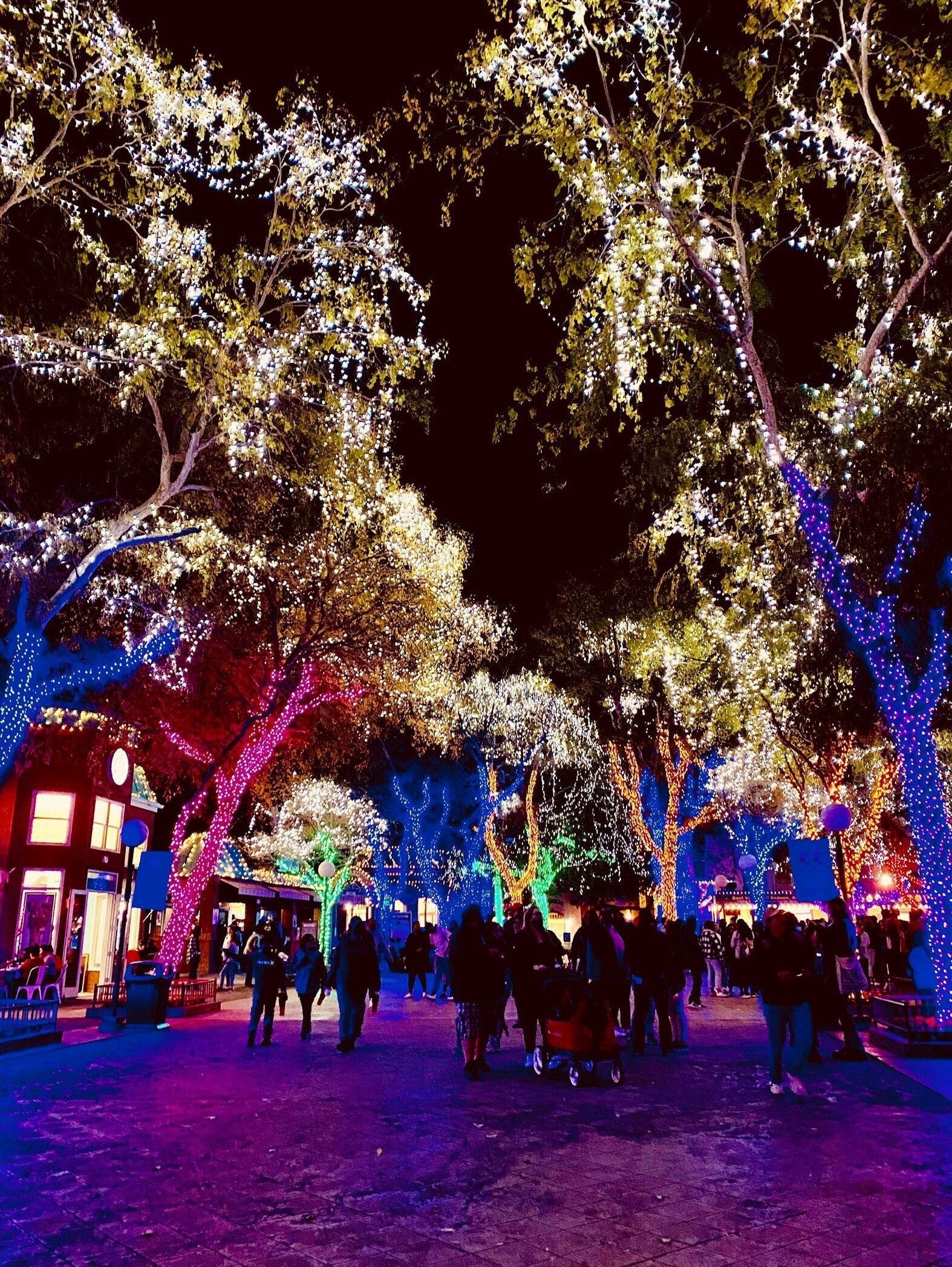 Shimmering Lights - Etsy