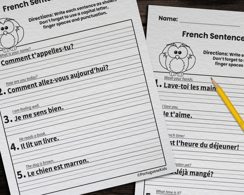 10 French Sentence Practice Worksheets for Kids Printable - Etsy