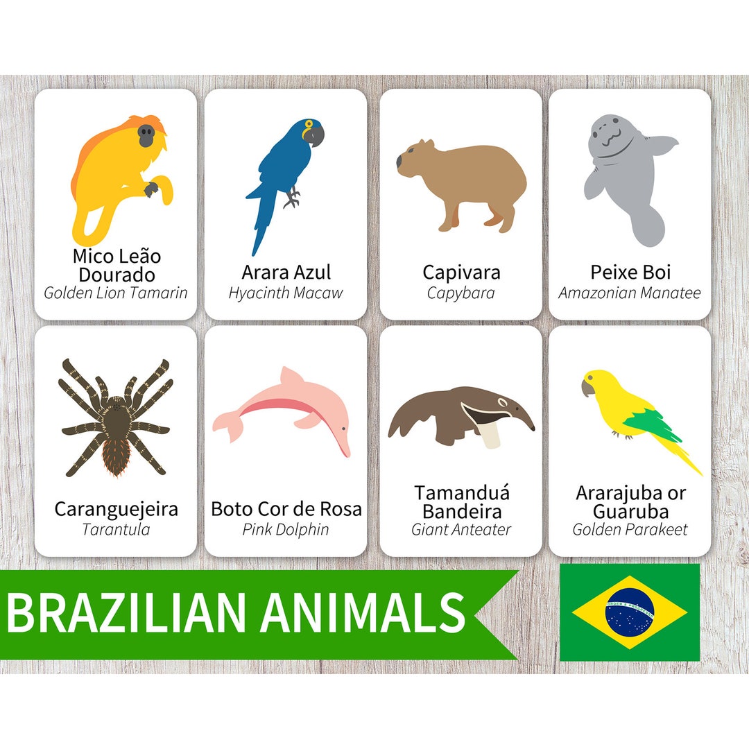 14 Portuguese & English Brazilian Animals Flashcard Bilingual Printable ...