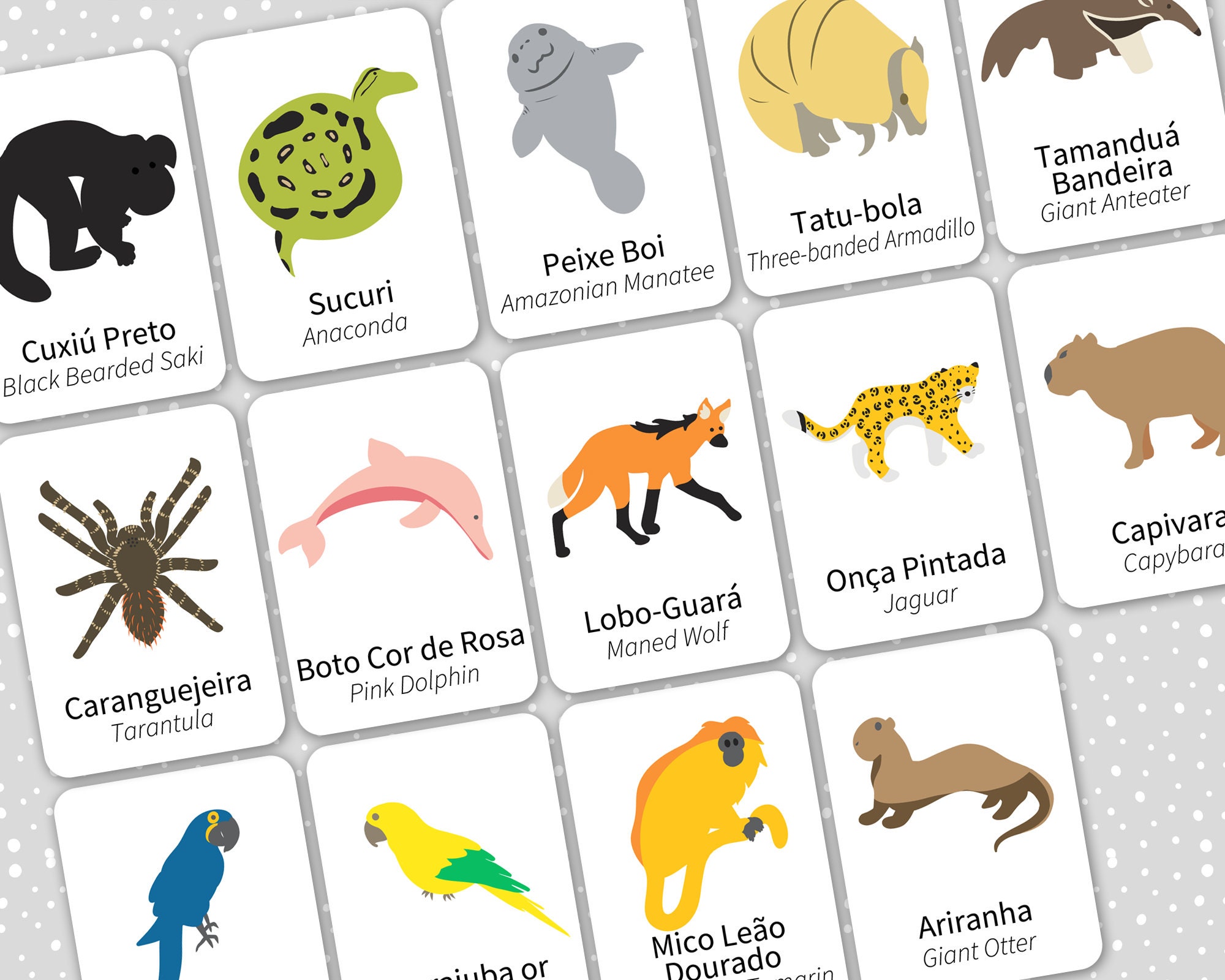 14 Portuguese & English Brazilian Animals Flashcard Bilingual Printable ...