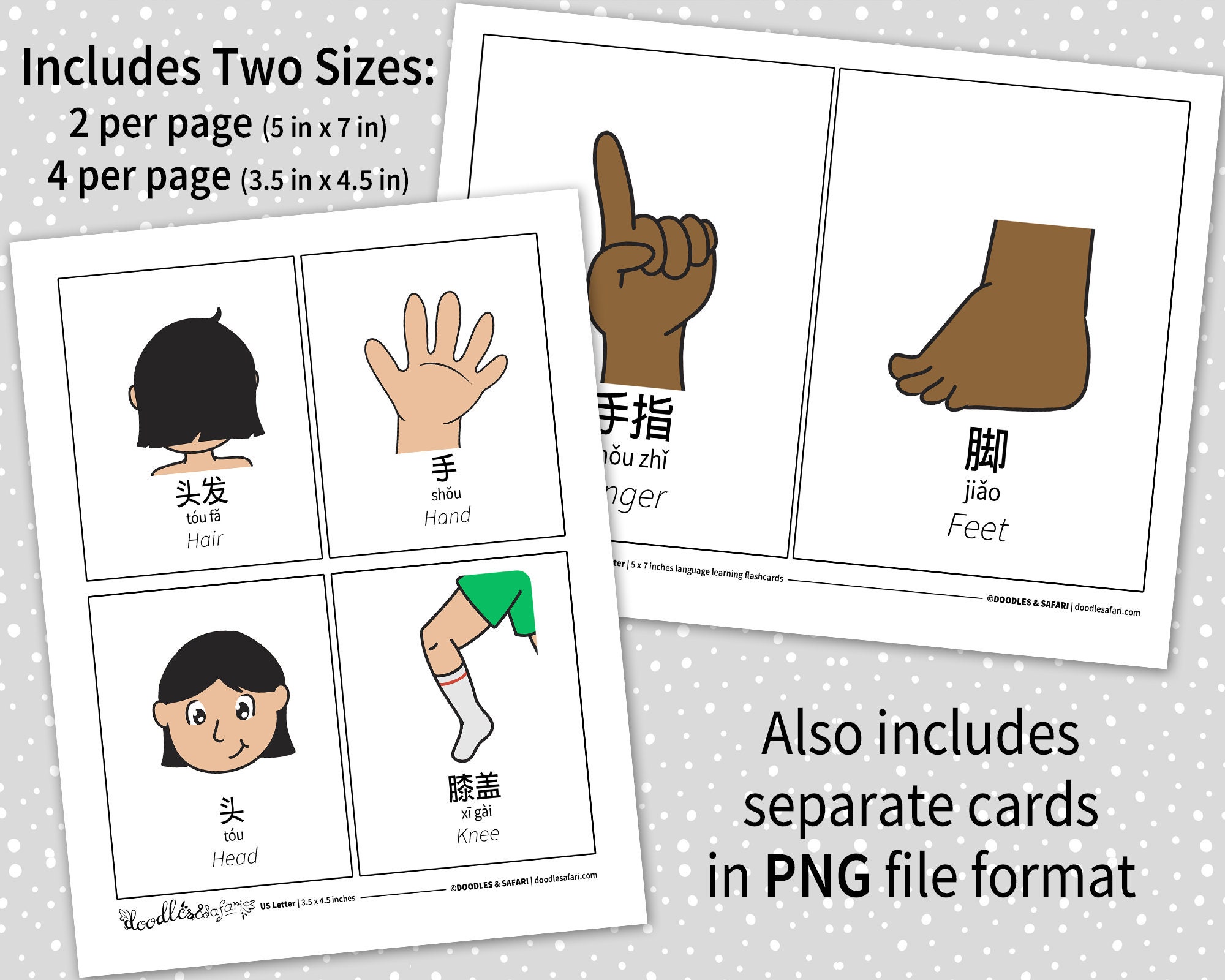 Body Parts in Mandarin Chinese & English: Bilingual Flashcards for Kids ...